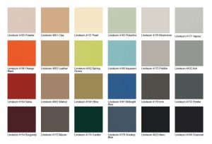 - Designer Zoo Borde